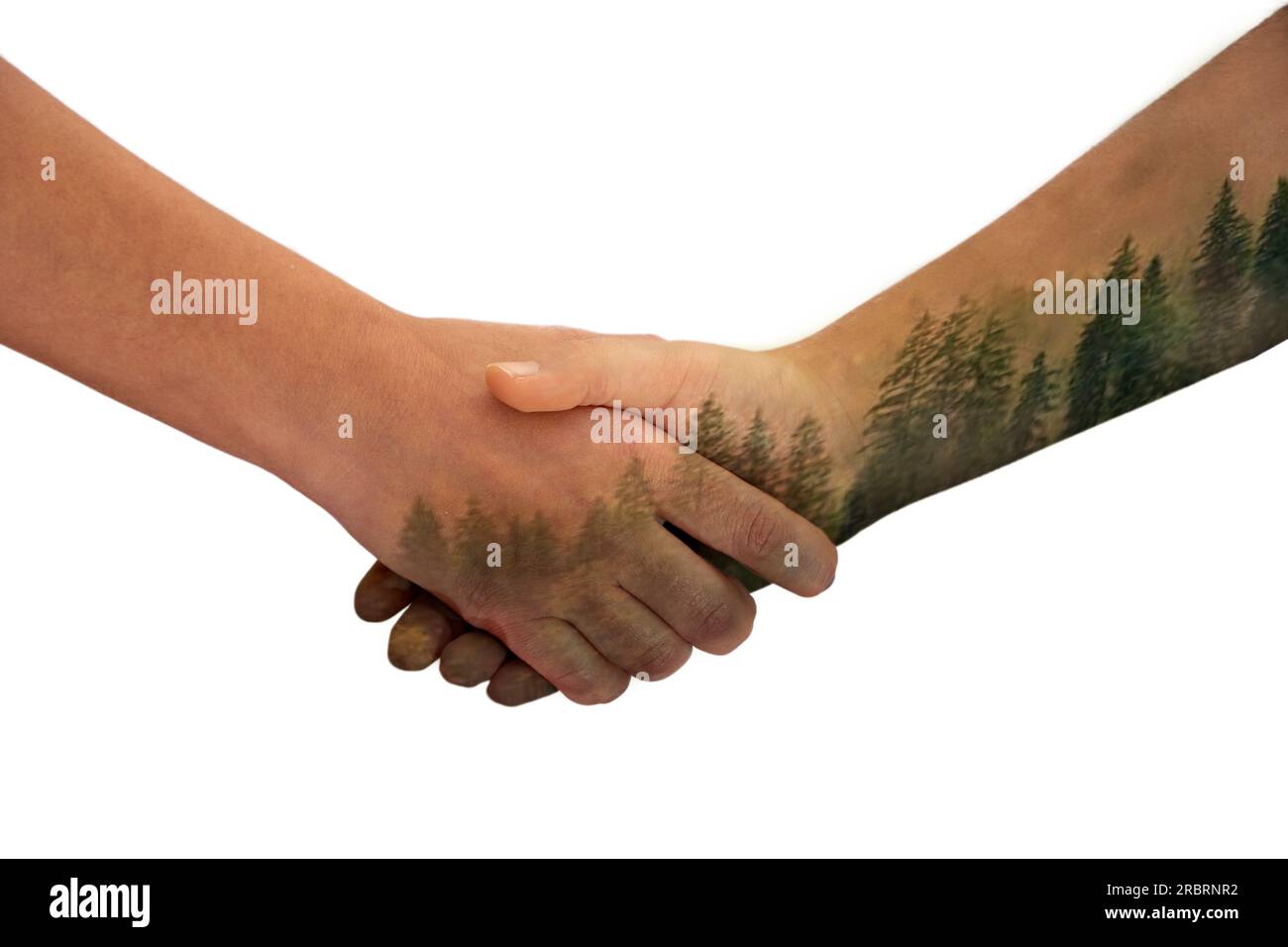 Humanity's cooperation with nature, environmentalist handshake Stock ...