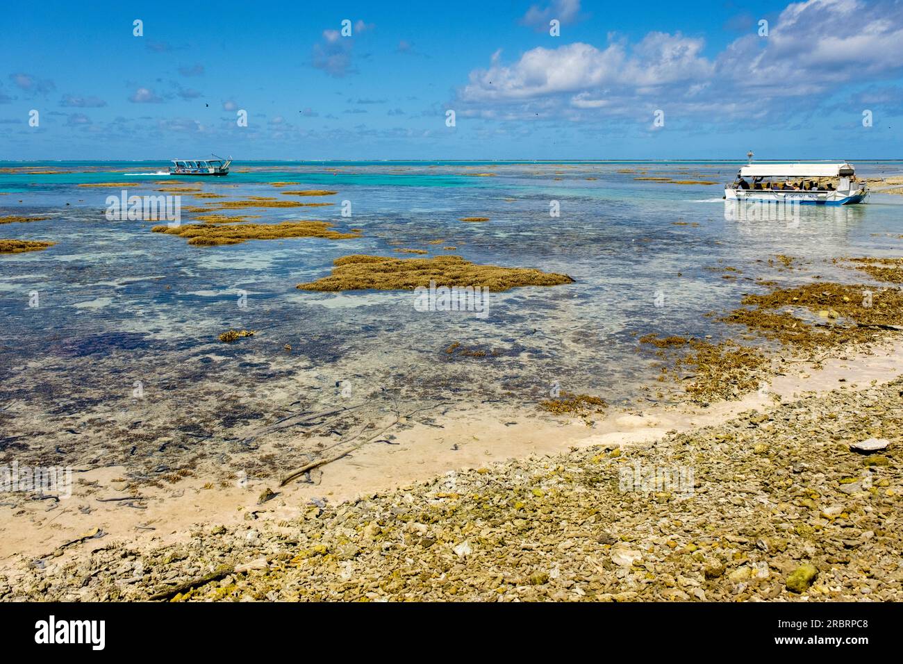 Trip tp Lady Musgrave Island Stock Photo - Alamy