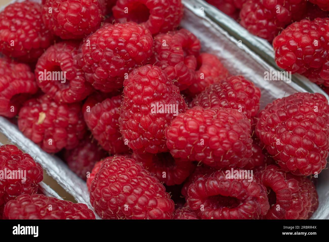 Get a glimpse of vibrant red raspberries up close, embodying a healthy ...