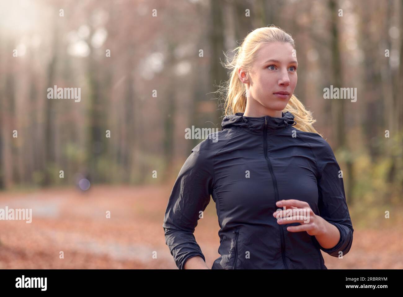 Pretty fit young woman jogging through autumn or fall woodland ...