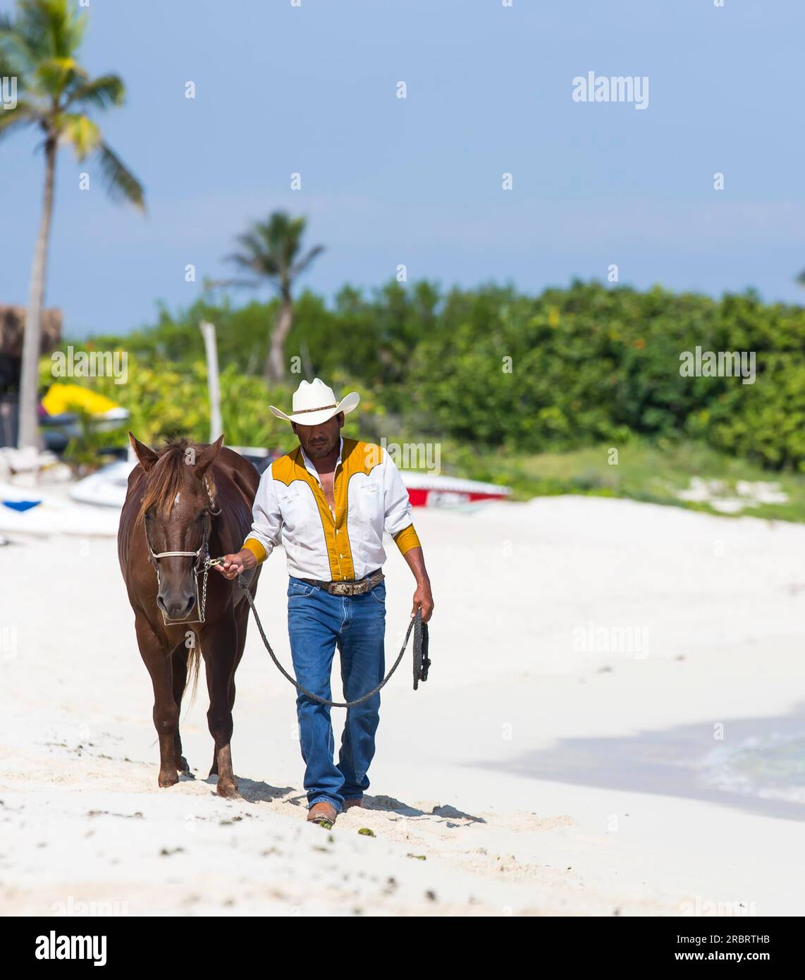 A cowboy walking a horse on a caribbean beach Stock Photo - Alamy