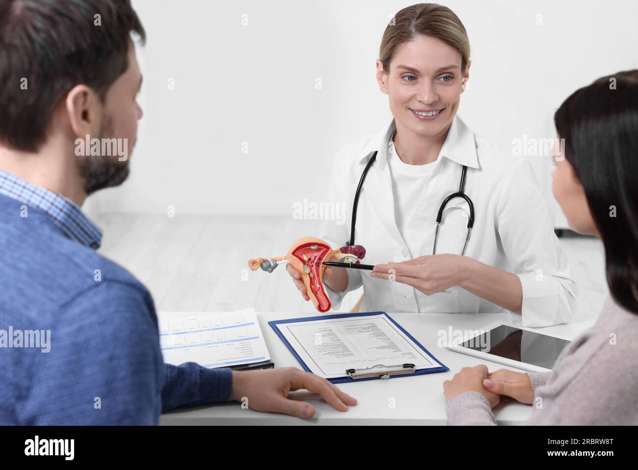 Fertility doctor demonstrating model of female reproductive system to ...