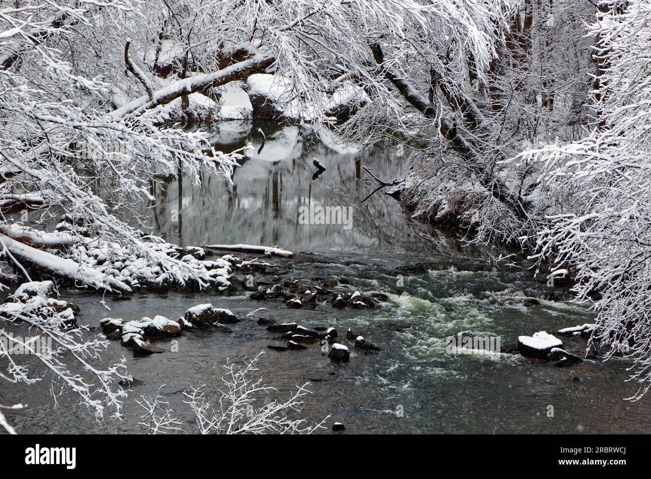 A winter landscape show snow falling on a creek with trees Stock Photo ...