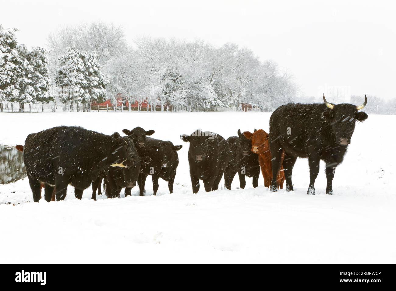 Snowy deserted Cut Out Stock Images & Pictures - Alamy