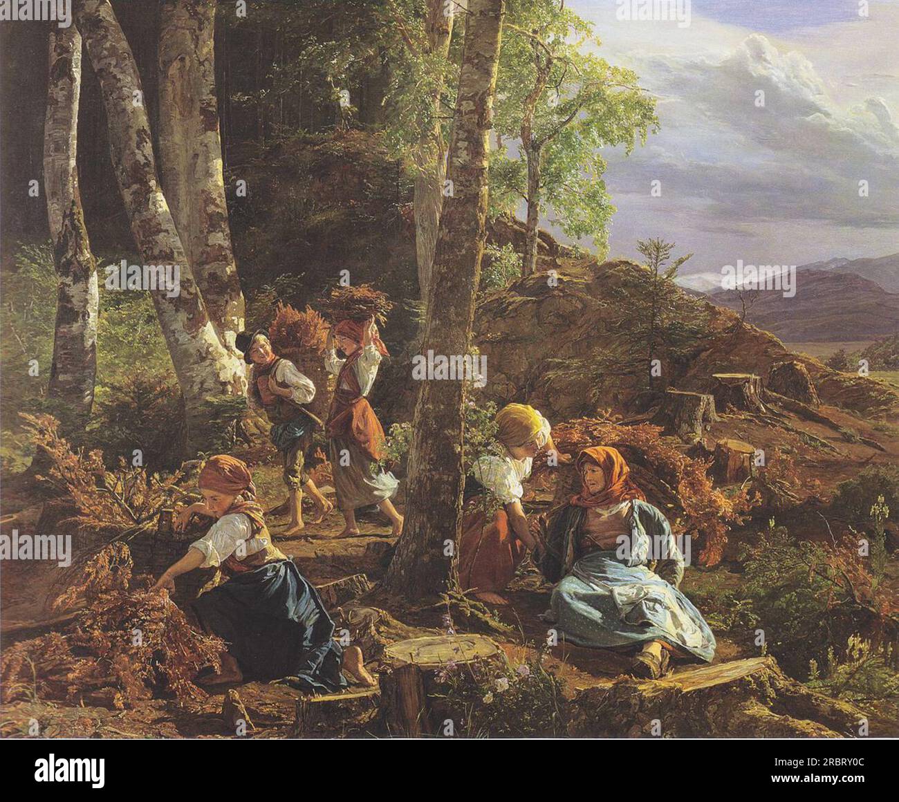 Rushwood hi-res stock photography and images - Alamy