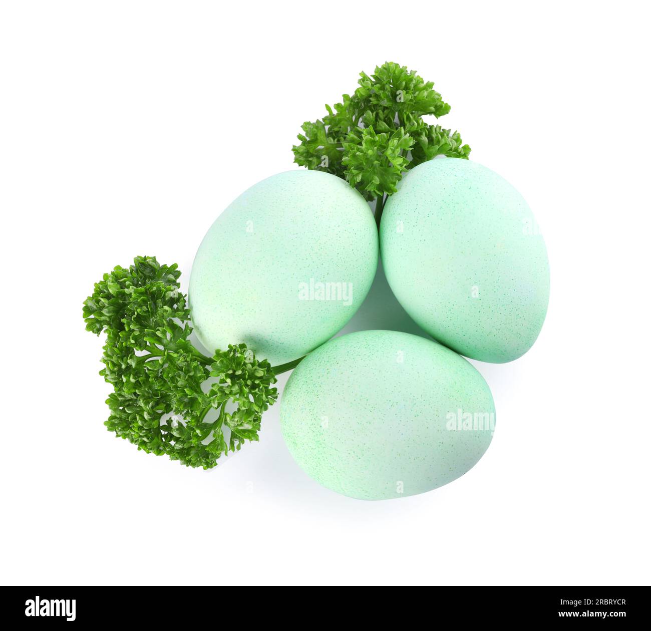 Turquoise Easter eggs painted with natural dye and curly parsley on ...