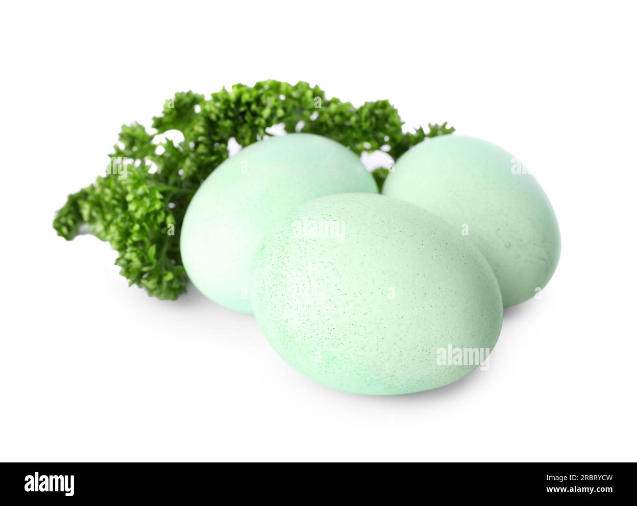 Turquoise Easter eggs painted with natural dye and curly parsley on ...