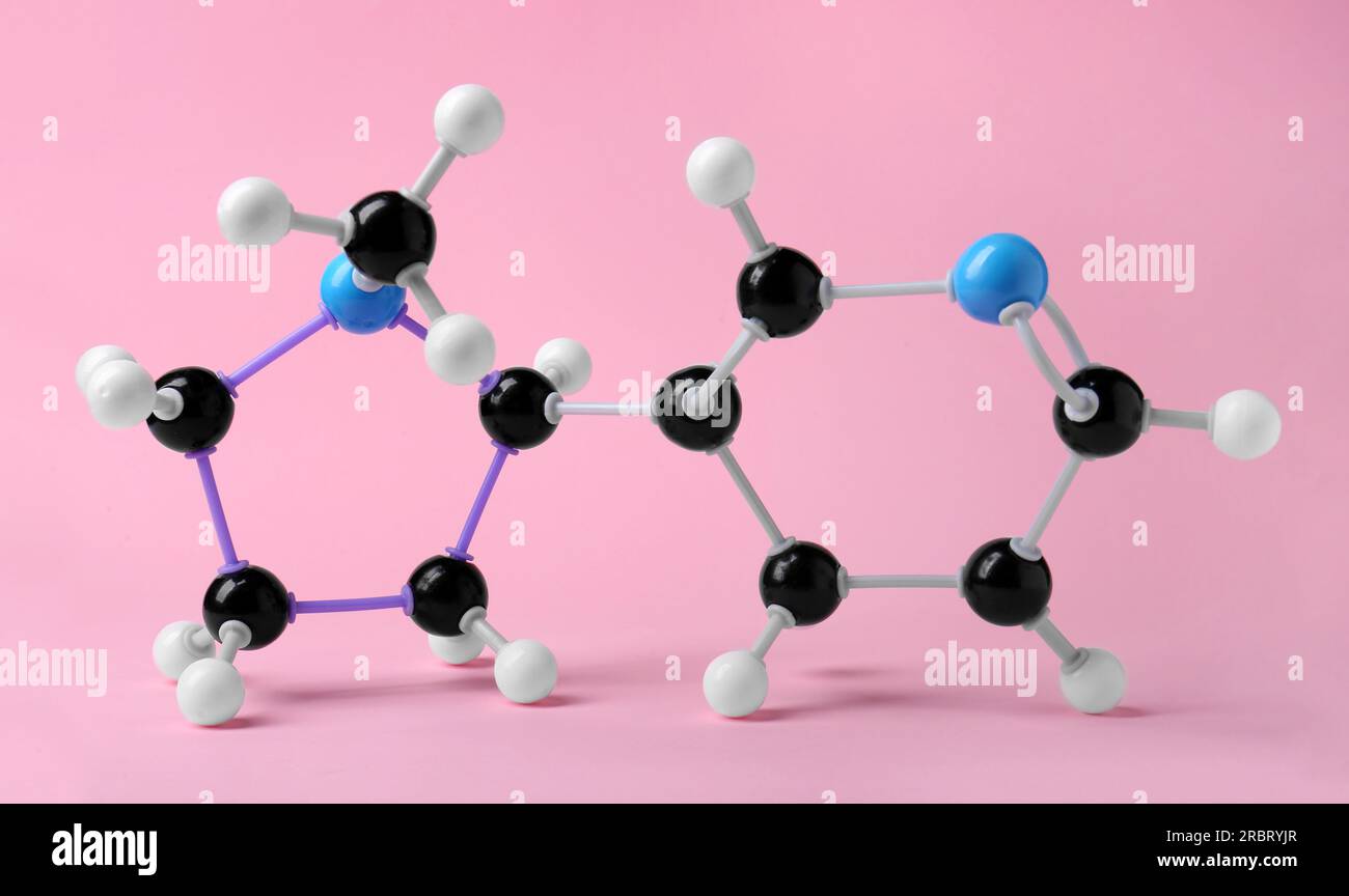 Molecule of nicotine on pink background. Chemical model Stock Photo - Alamy