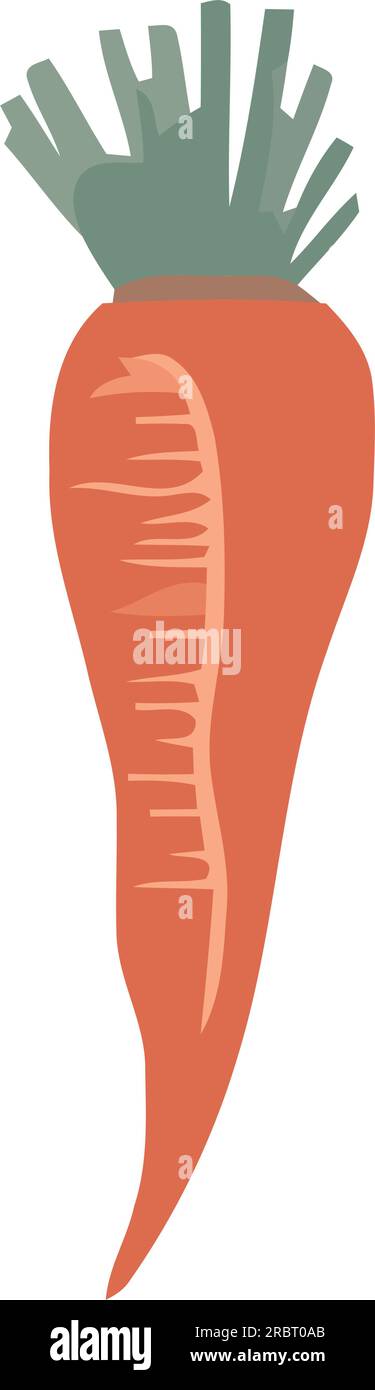 Fresh organic carrot, symbol of healthy eating Stock Vector Image & Art ...