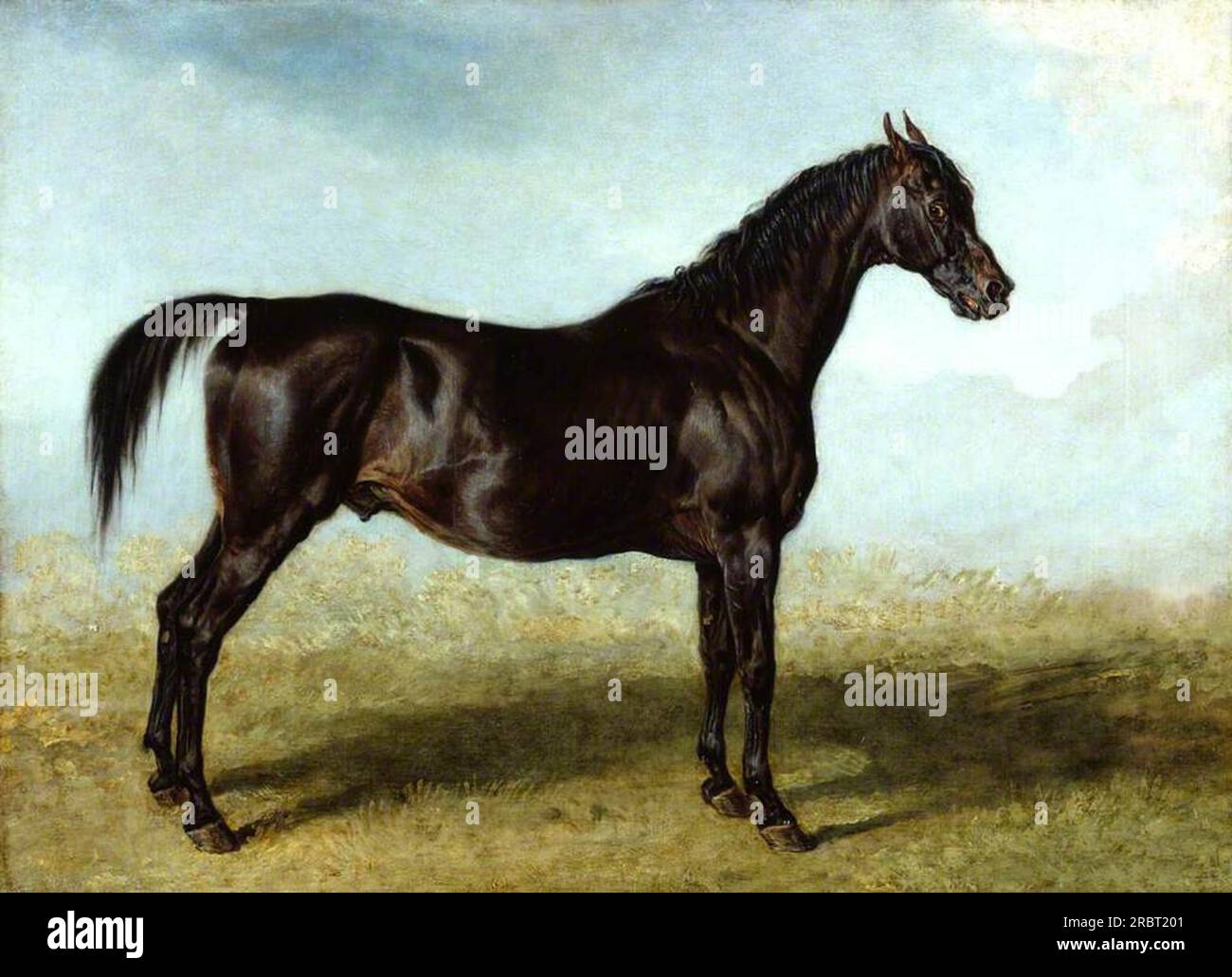 'Guy Mannering', A Race Horse 1822 by James Ward Stock Photo - Alamy