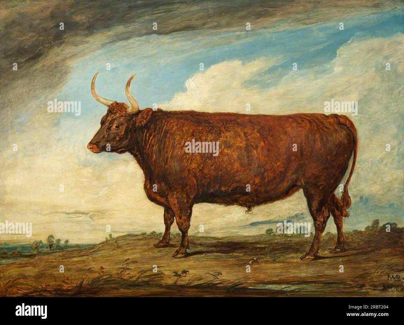 The Devonshire Ox 1801 by James Ward Stock Photo - Alamy
