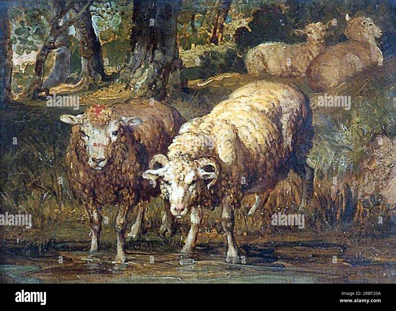 Sheep by a Stream by James Ward Stock Photo - Alamy