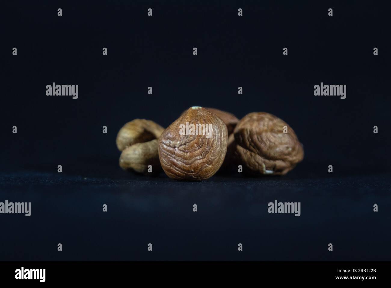 Picture of peeled hazelnuts on a black background. The hazelnut is the ...
