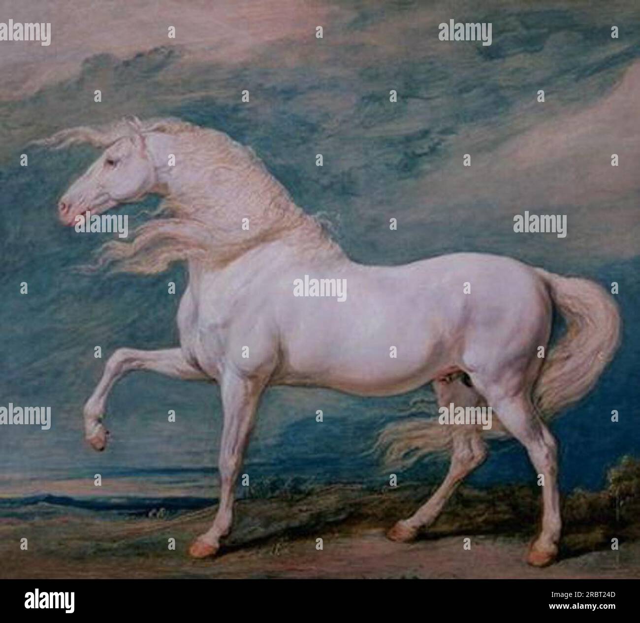 Adonis, a White Stallion by James Ward Stock Photo - Alamy