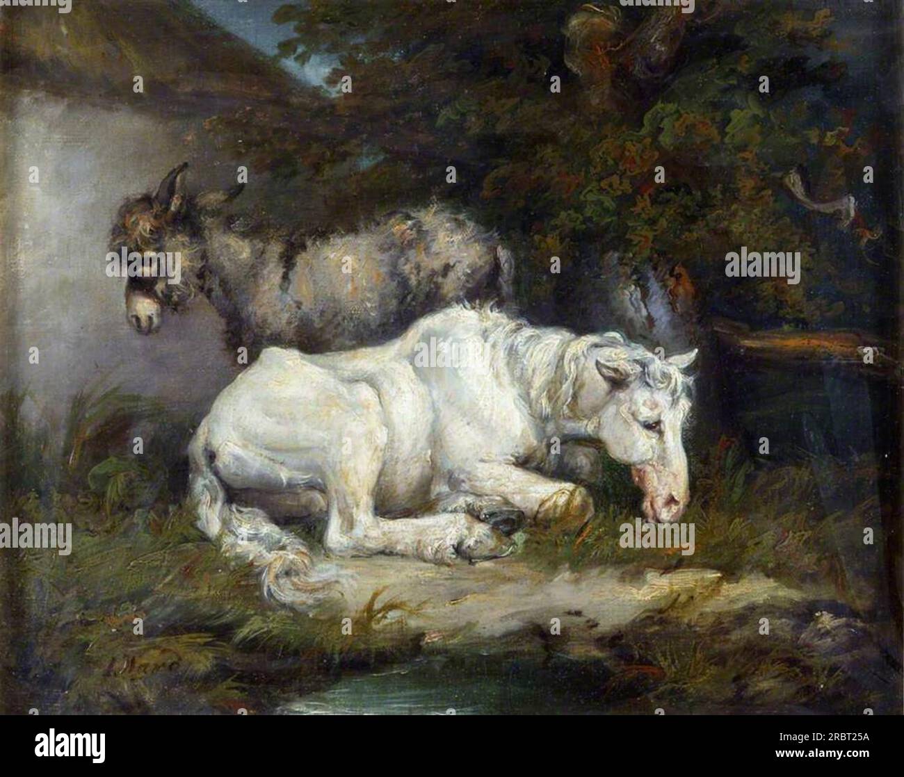 Horse and Donkey by James Ward Stock Photo - Alamy