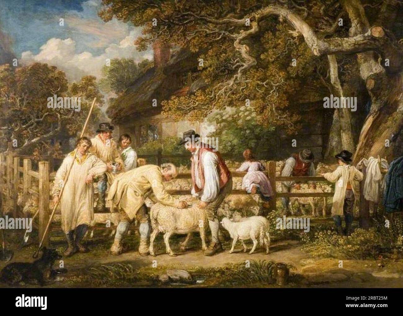 Sheep Salving 1828 by James Ward Stock Photo - Alamy