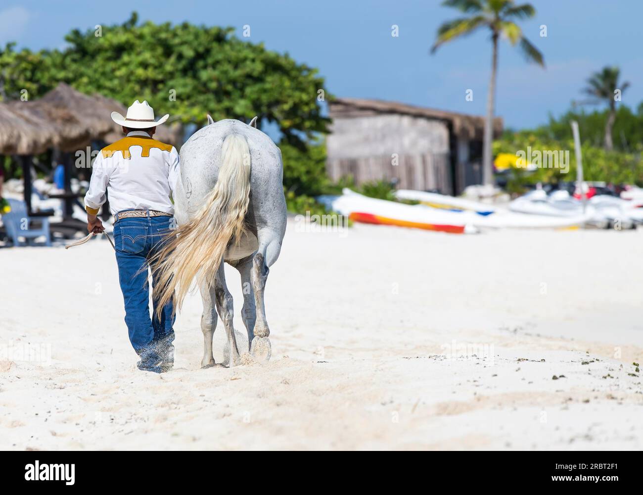 A cowboy walking a horse on a caribbean beach Stock Photo - Alamy