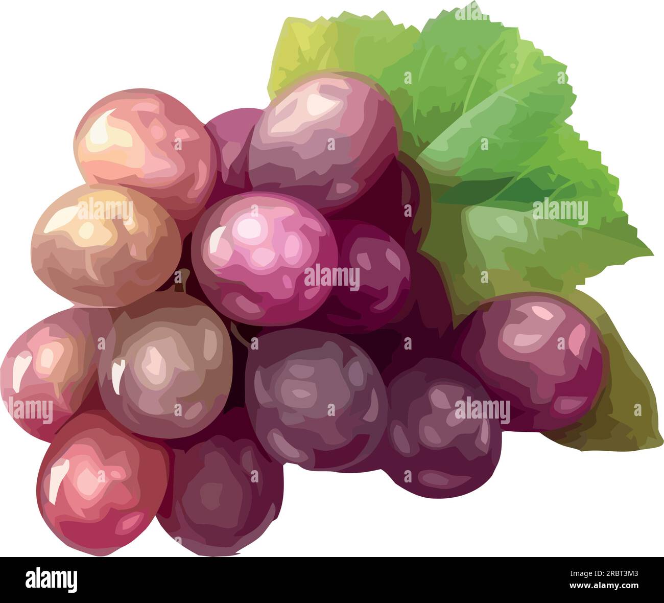 Fresh fruit grapes, healthy eating Stock Vector Image & Art - Alamy