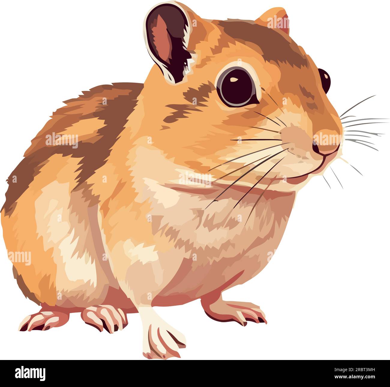 Cute mouse sitting, looking cheerful Stock Vector Image & Art - Alamy