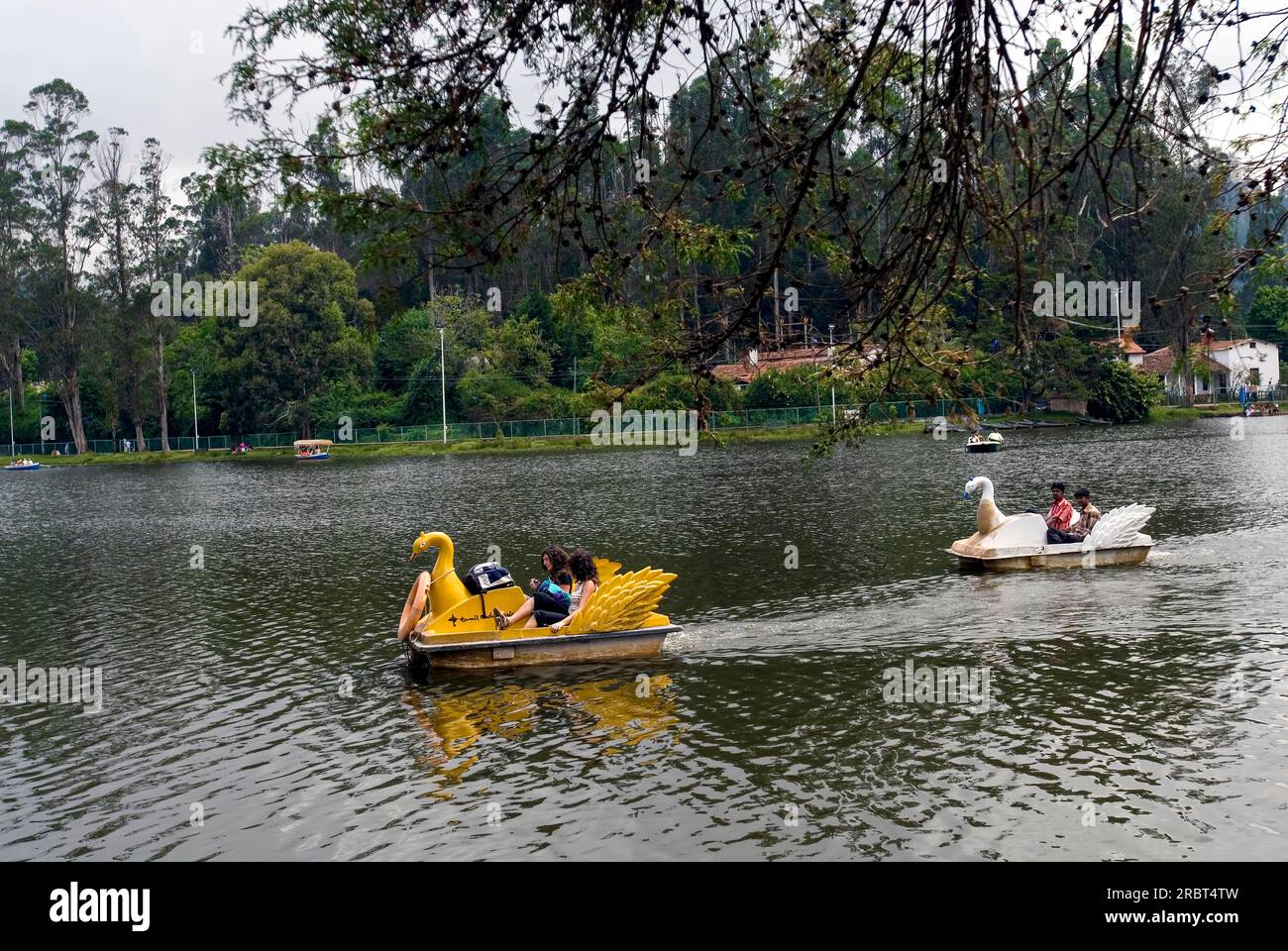 Tourists enjoying boating in Kodai Kodaikanal lake, Tamil Nadu, South ...