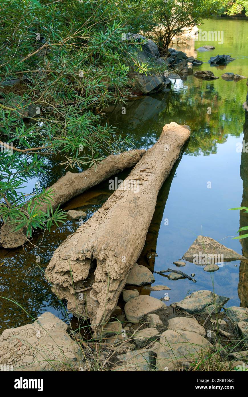 Mulli hi-res stock photography and images - Alamy