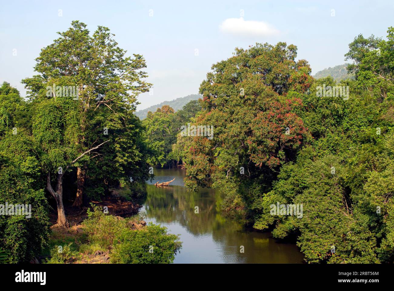 Baralikkadu eco tourist spot is situated at Karamadai Pilloor dam ...