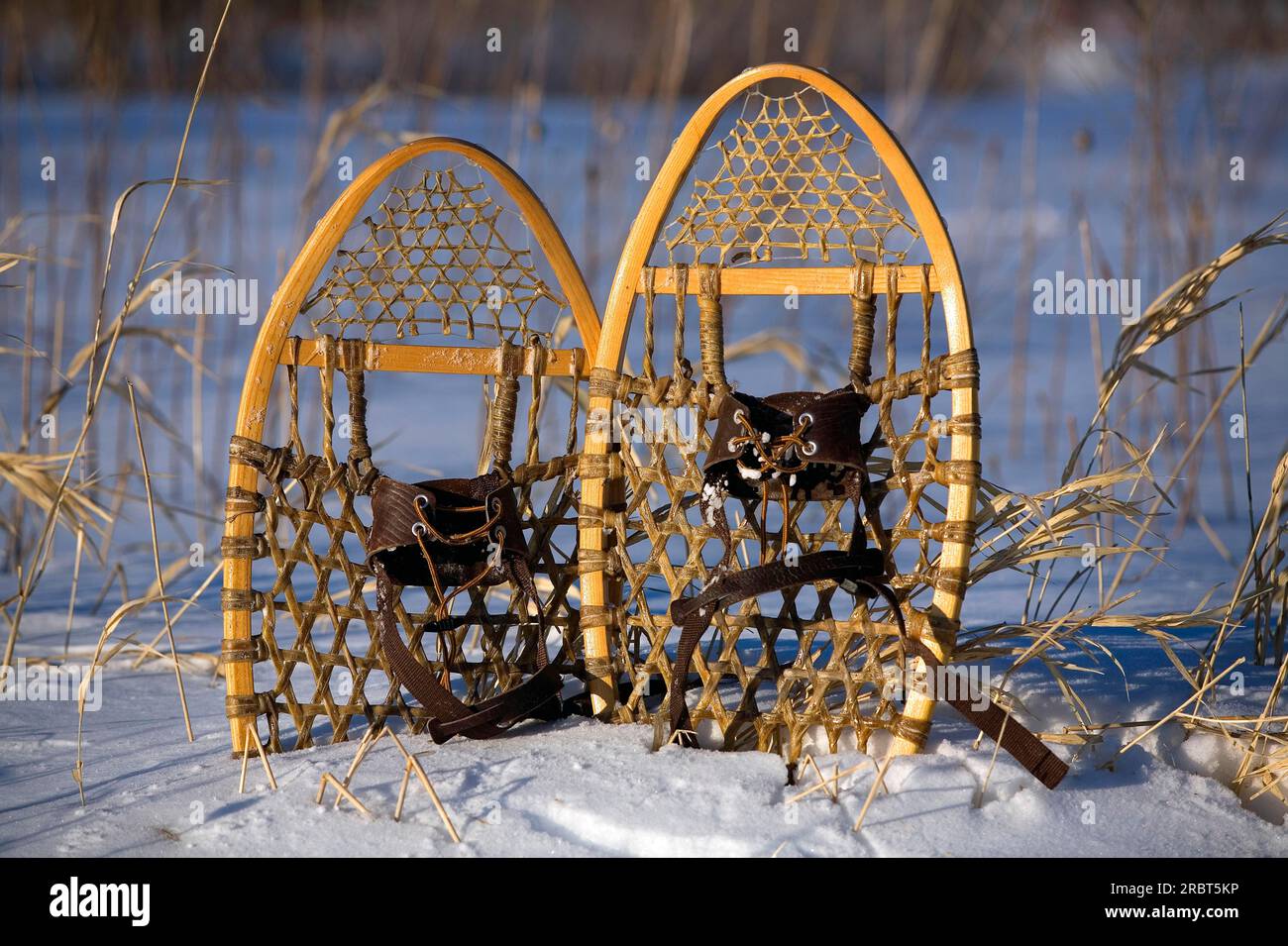 Snowshoes, Boucherville Islands Park, Quebec, Canada Stock Photo - Alamy