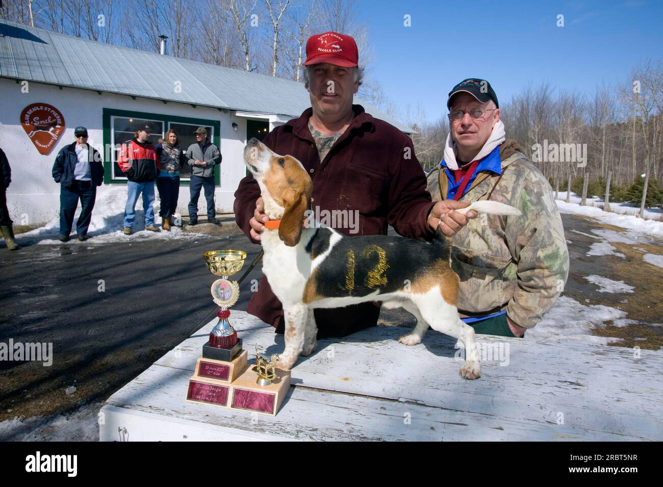 Beagle wins first prize in the Beagle Competition, St. Pierre de Sorel ...