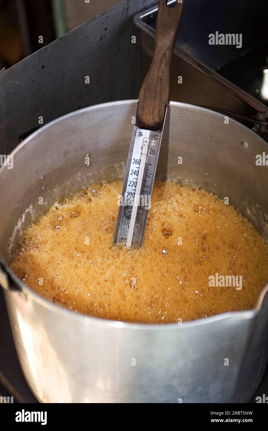 Thermometer in pot with maple syrup, making maple toffee, St.Mathieu du ...