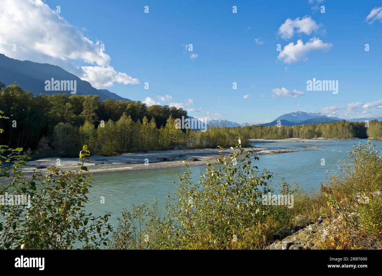 Squamish River in Brackendale, BC, Canada in the Autumn Stock Photo - Alamy