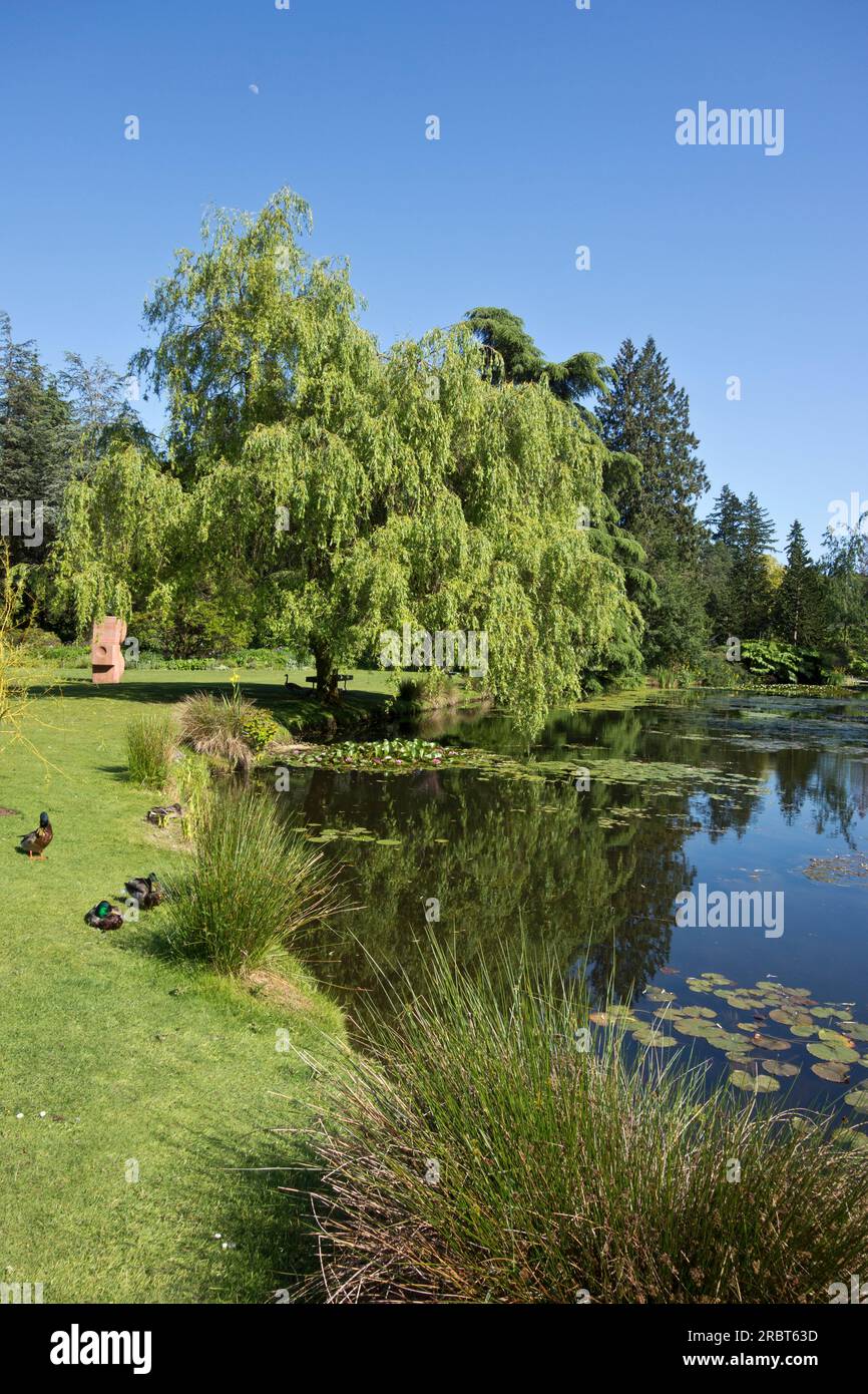 VanDusen Botanical Garden in Vancouver, BC, Canada Stock Photo - Alamy