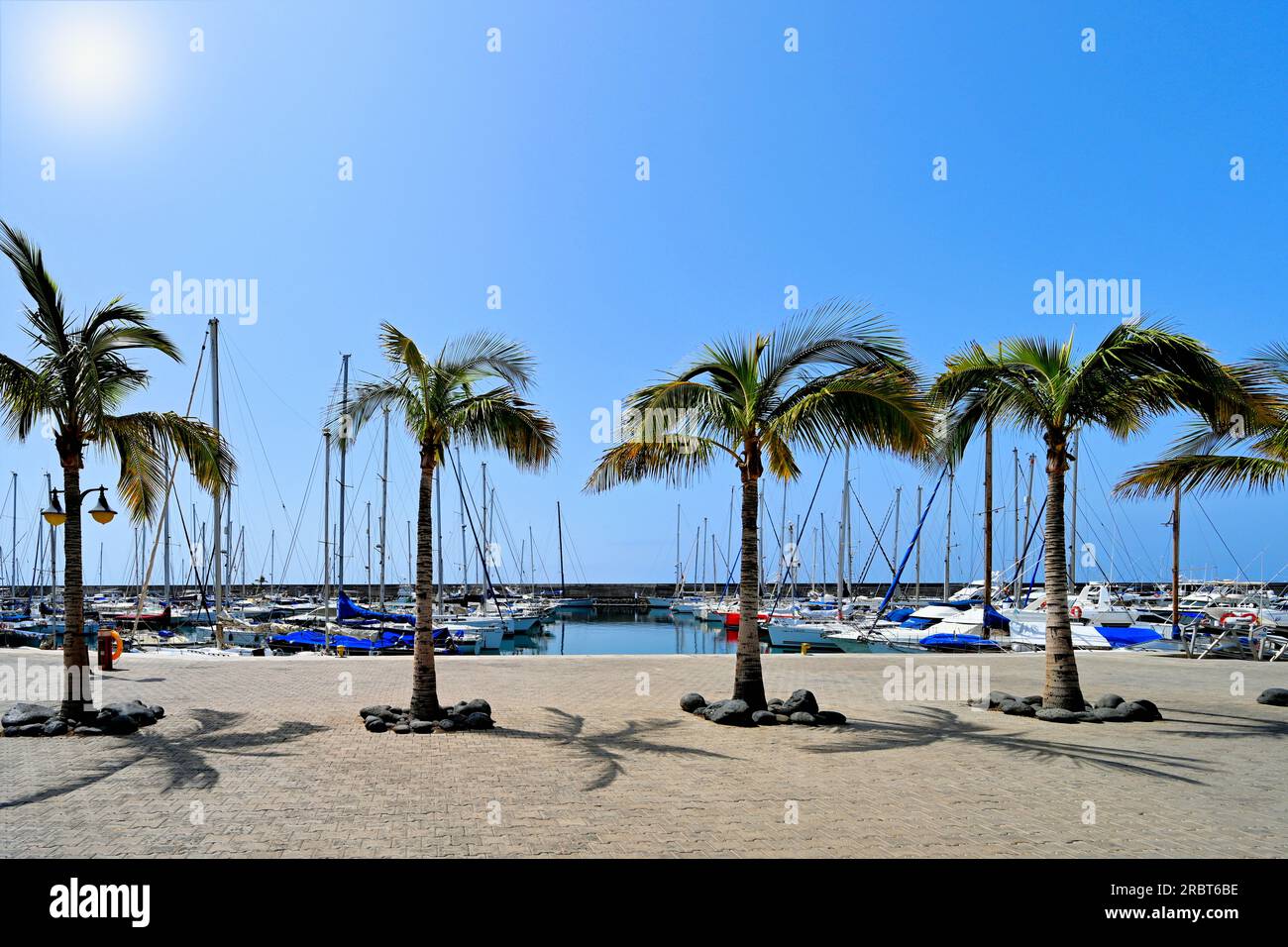 Lanzarote Canary Islands Puerto Calero palm trees and walkway inside ...