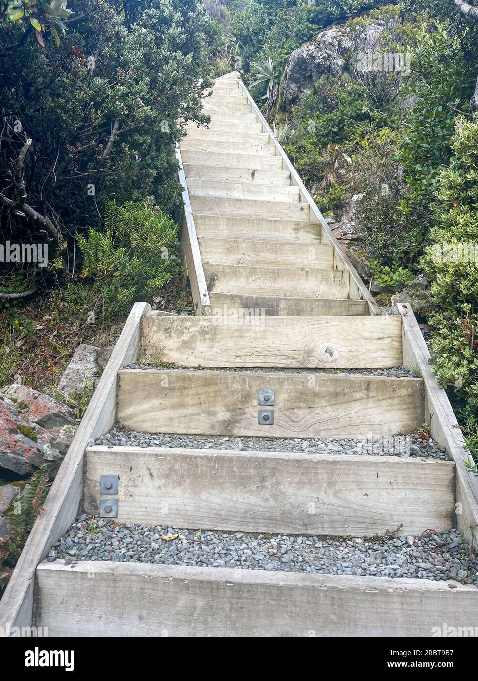 The steps and stairs climbing up the steep Sealy Tarns track often ...