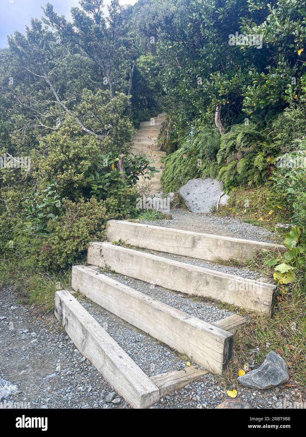 The steps and stairs climbing up the steep Sealy Tarns track often ...