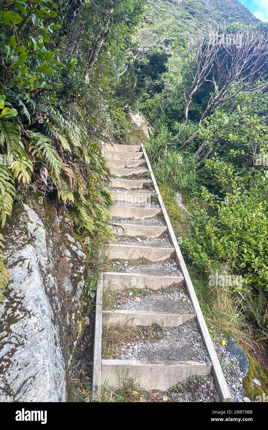 The steps and stairs climbing up the steep Sealy Tarns track often ...