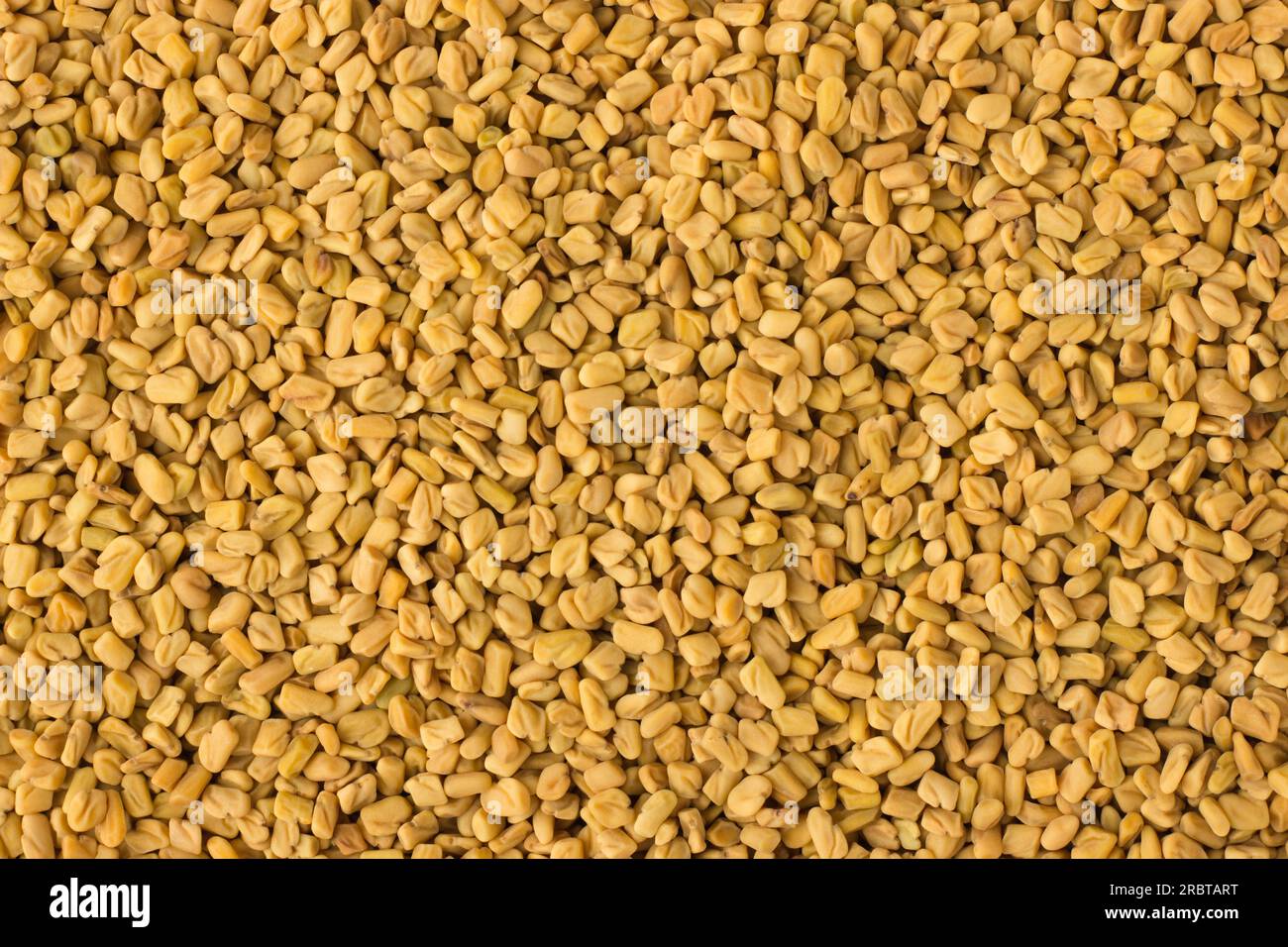 Methi Seeds In Tamil