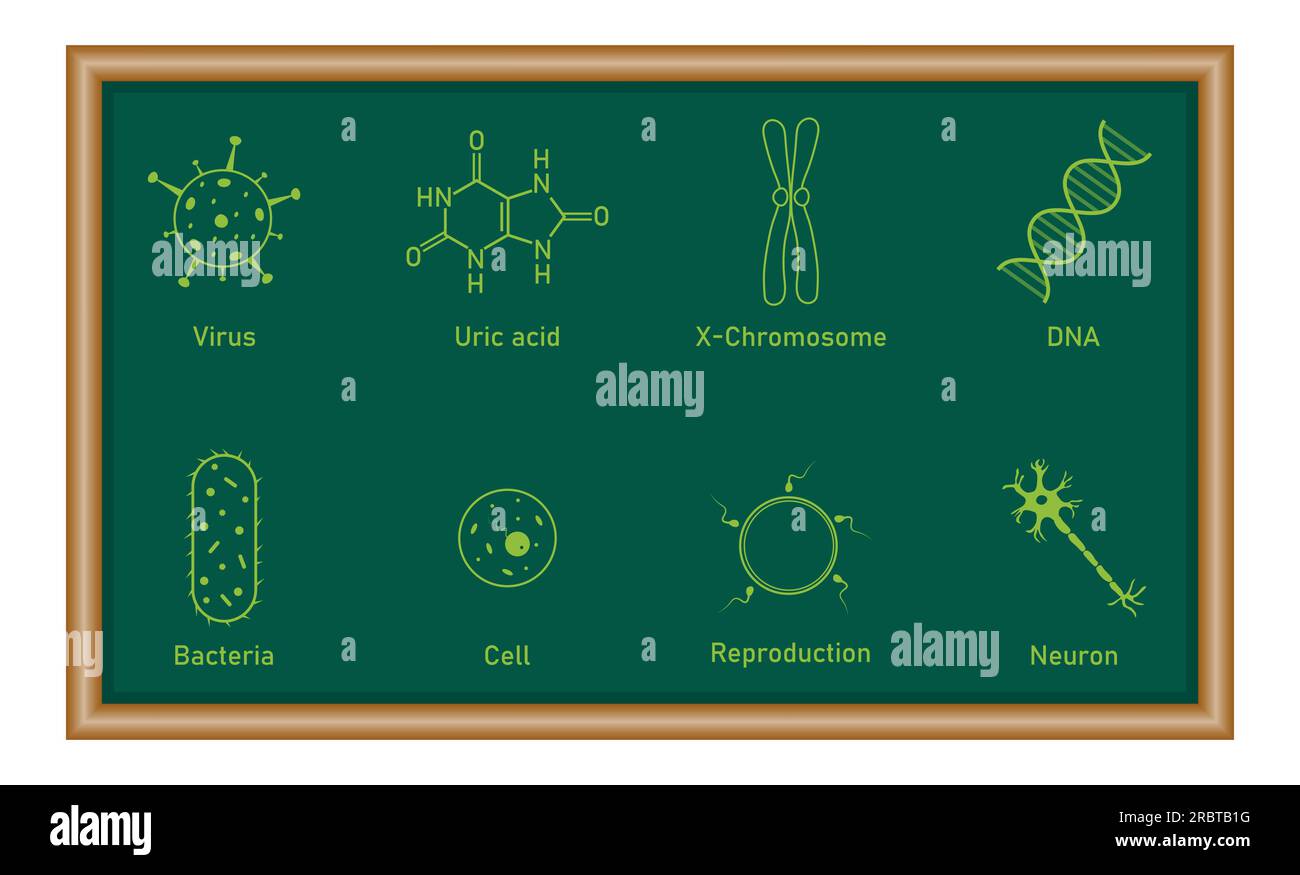 Biology science icon. Uric acid, bacteria, cell, neuron, virus, DNA ...