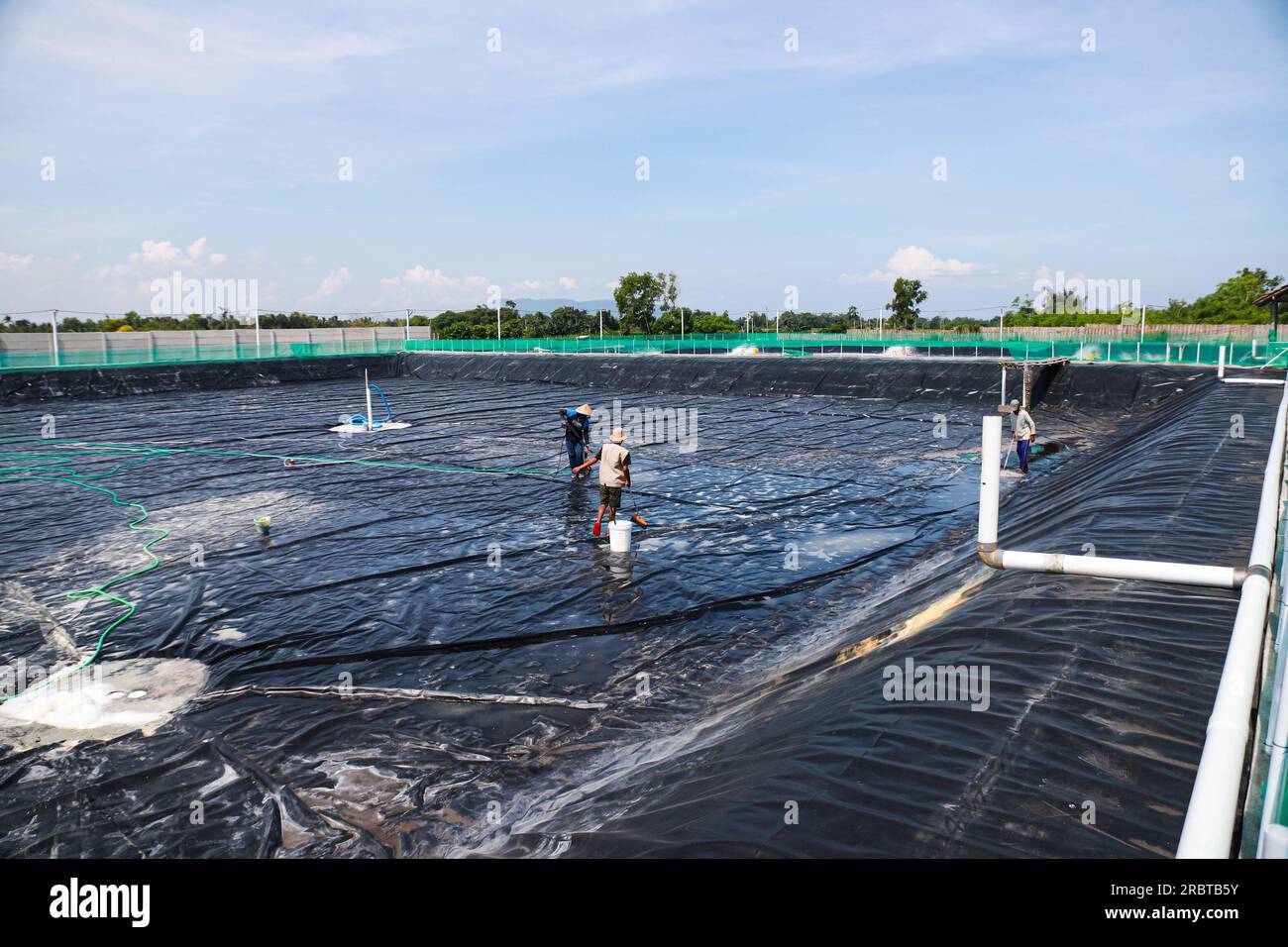 Several pond farmers are cleaning LDPE plastic ponds before starting to ...