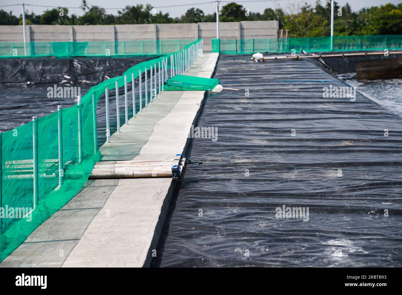 use of black LDPE plastic in fish and shrimp cultivation ponds to ...