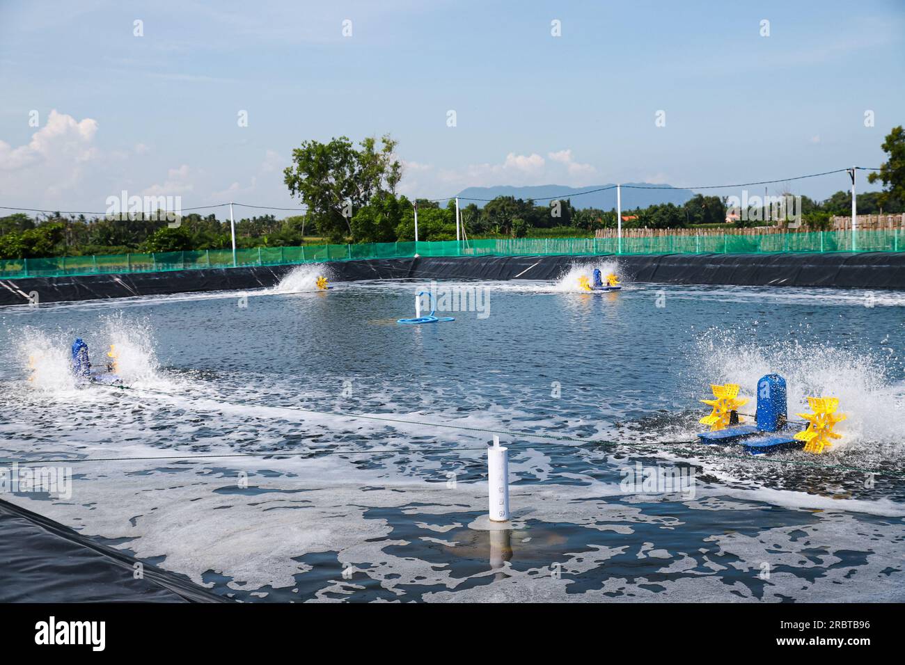 Paddle wheel aerators are used to increase the quality of oxygen in ...