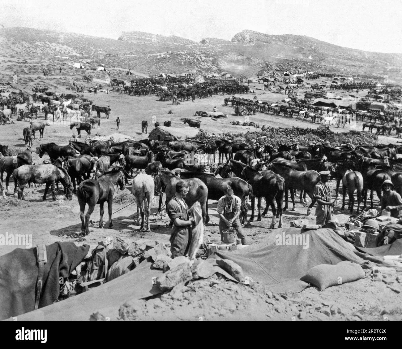 Dardanelles, Turkey: c. 1915 Allied calvary units in the Dardanelles ...