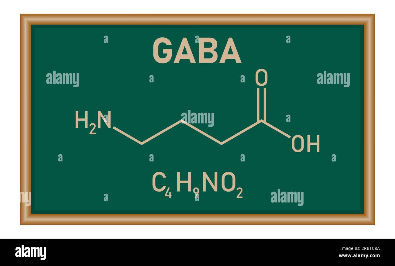 Chemical structure of γ-Aminobutyric acid or gamma-aminobutyric acid or GABA (C4H9NO2). Chemical ...
