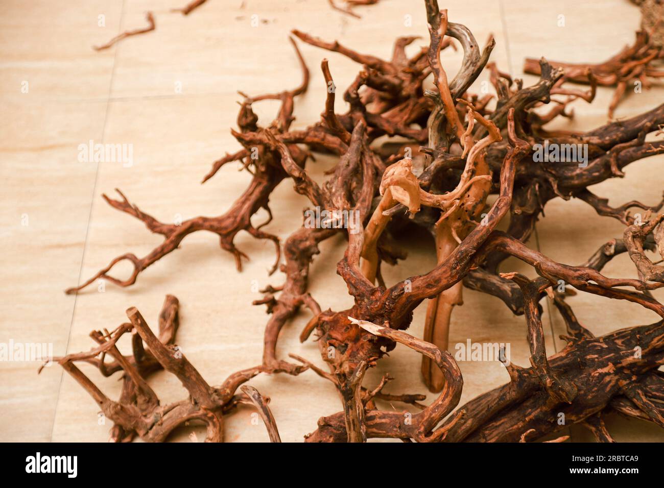 a type of rasamala wood whose roots are usually taken to be used in ...