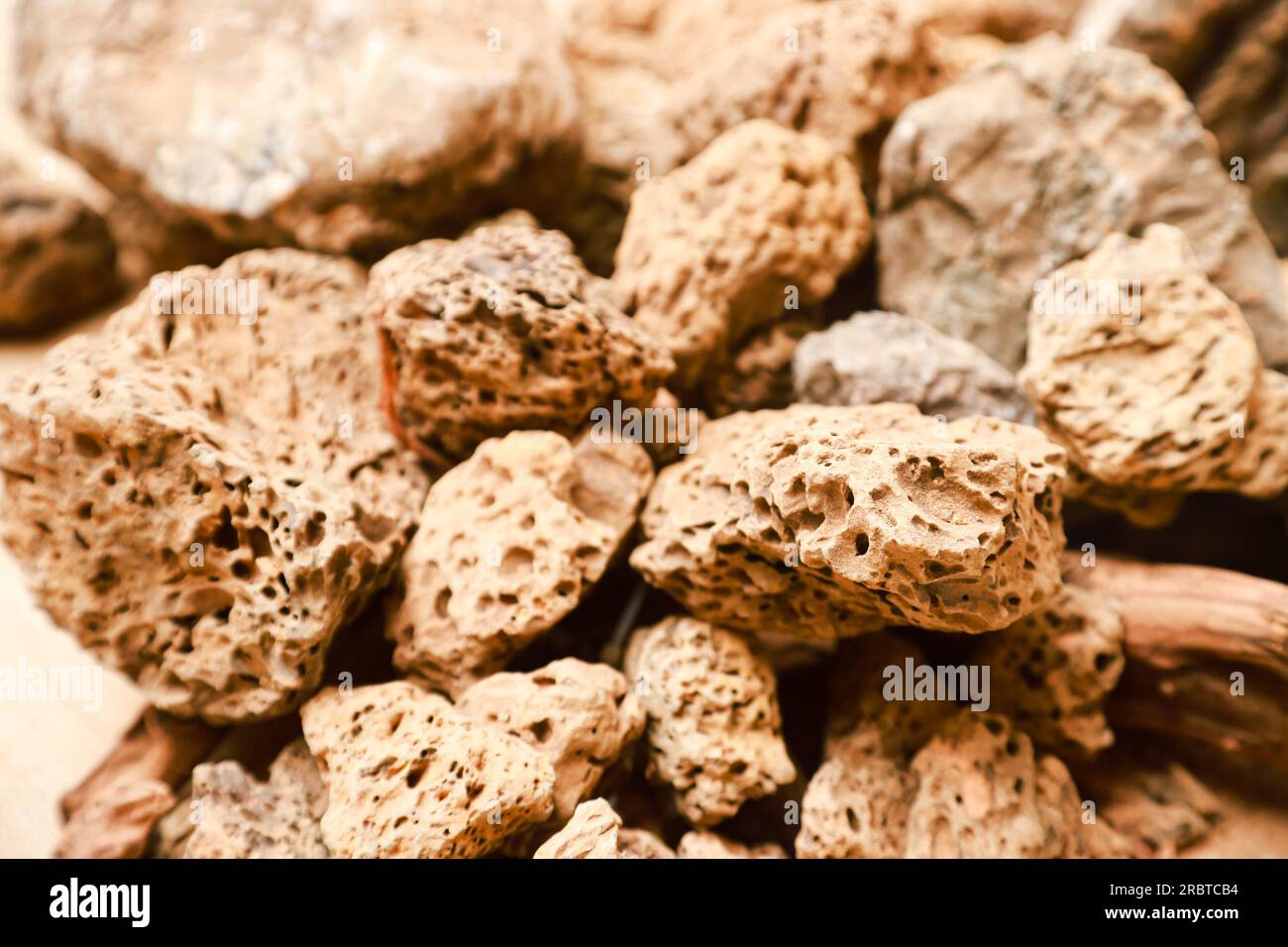 Lava rock aquarium hi-res stock photography and images - Alamy