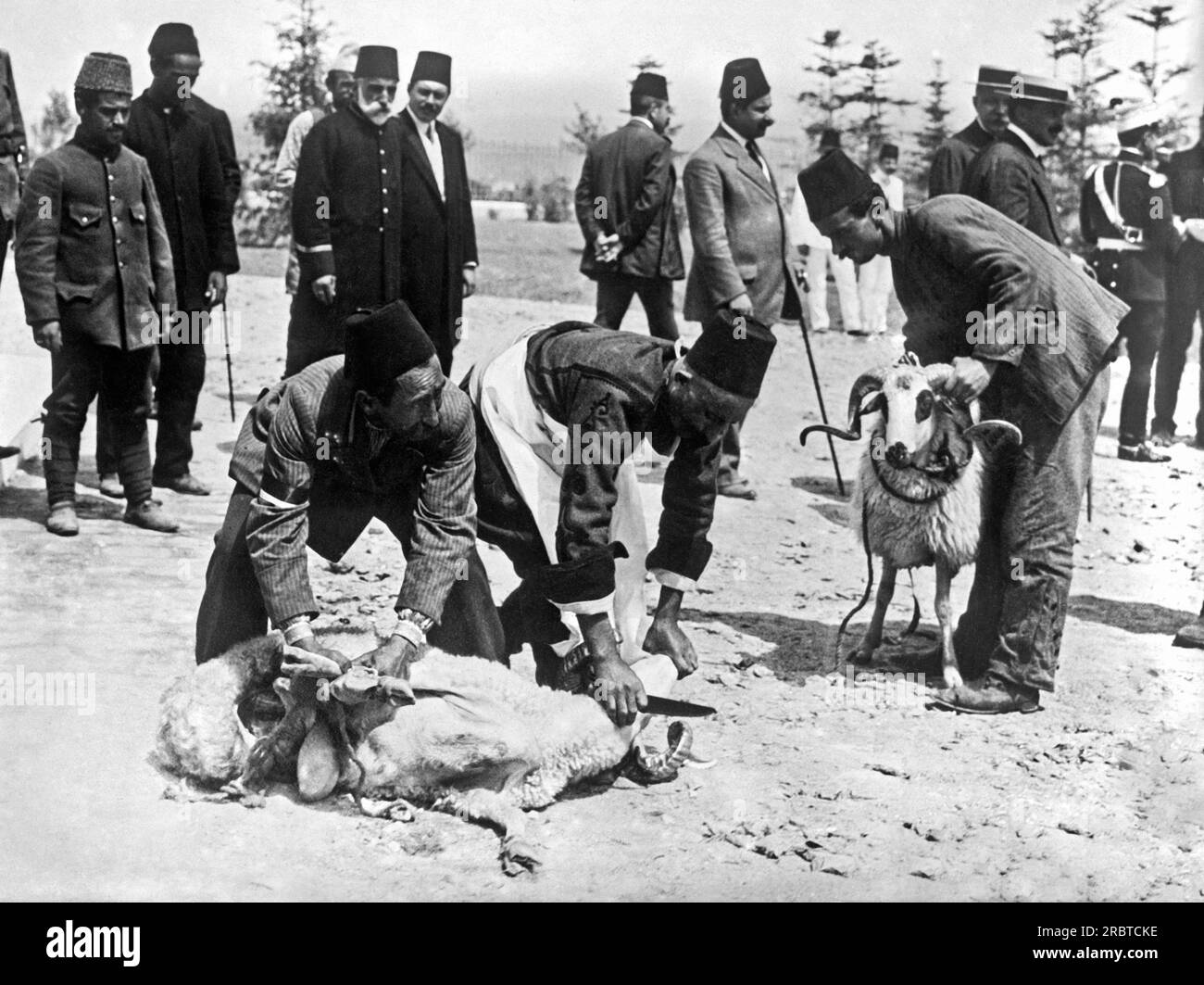 Turkey: c. 1915 Turks sacrificing goats before going into battle during ...
