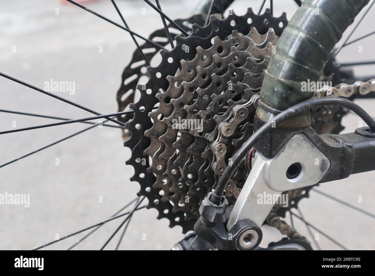 cassette and chain, Closeup bicycle gear wheels, mechanic gears ...