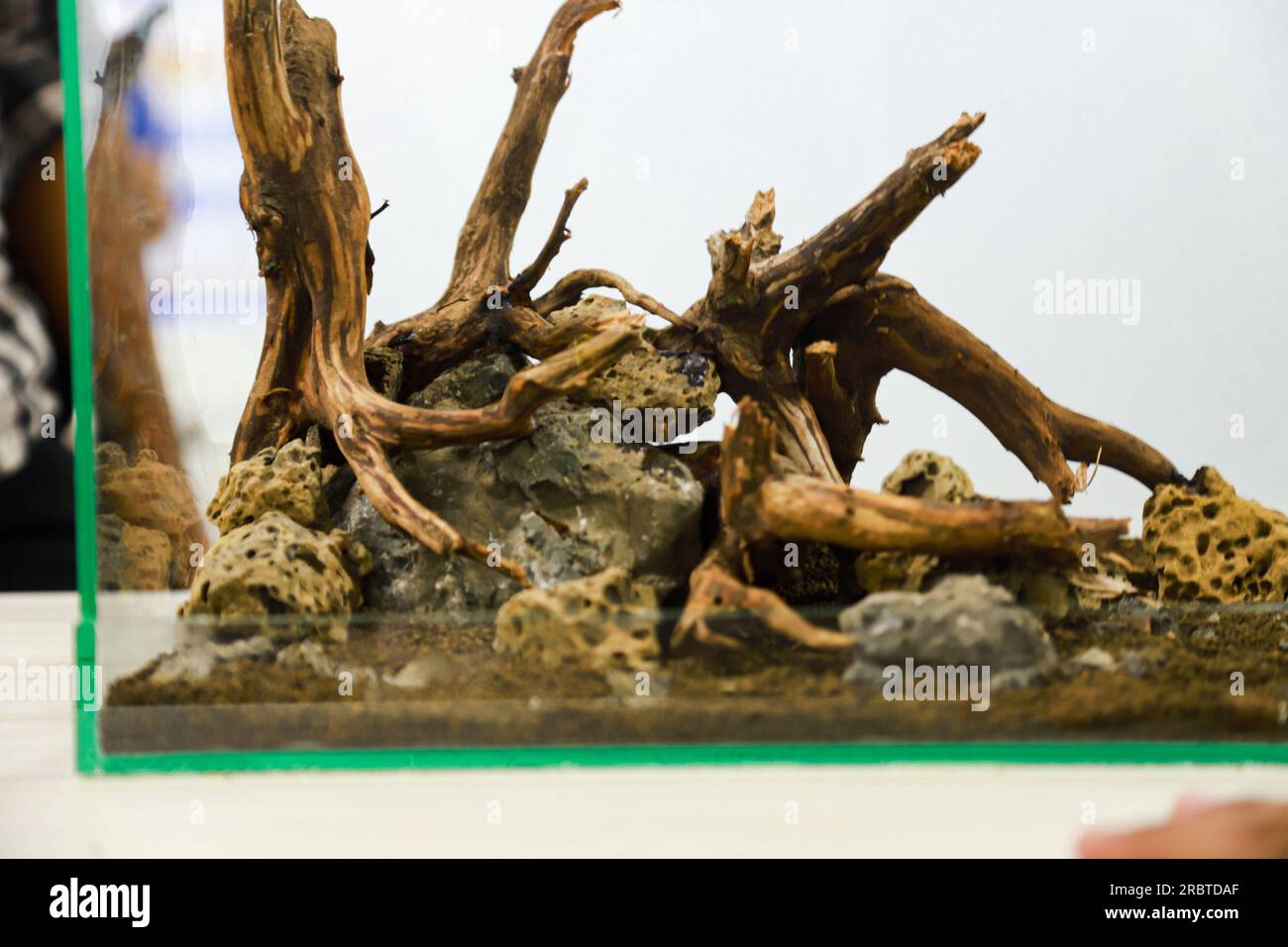 arrangement of rasamala wood and lava stones for an aquascape display ...