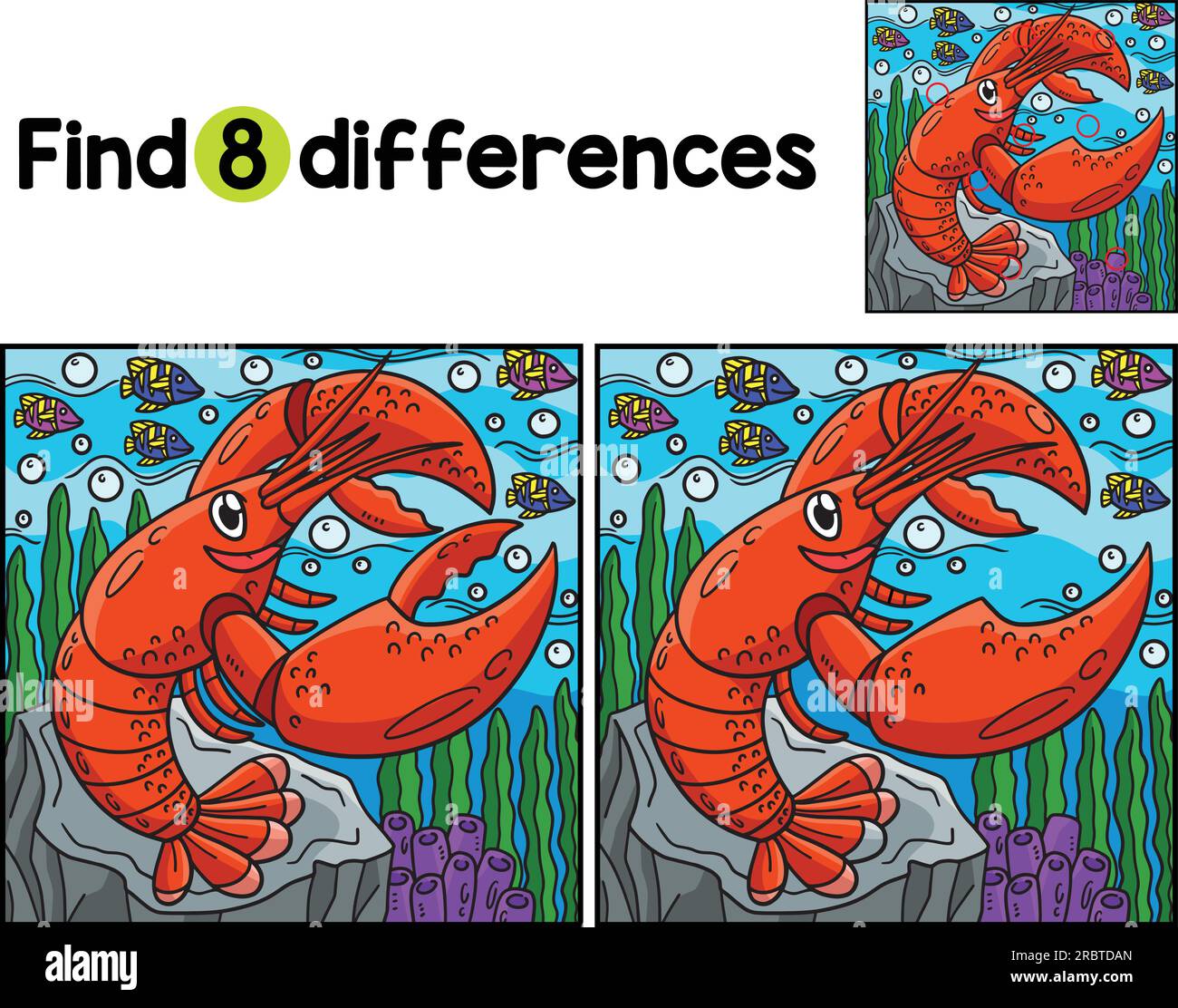 Lobster Animal Find The Differences Stock Vector Image & Art - Alamy