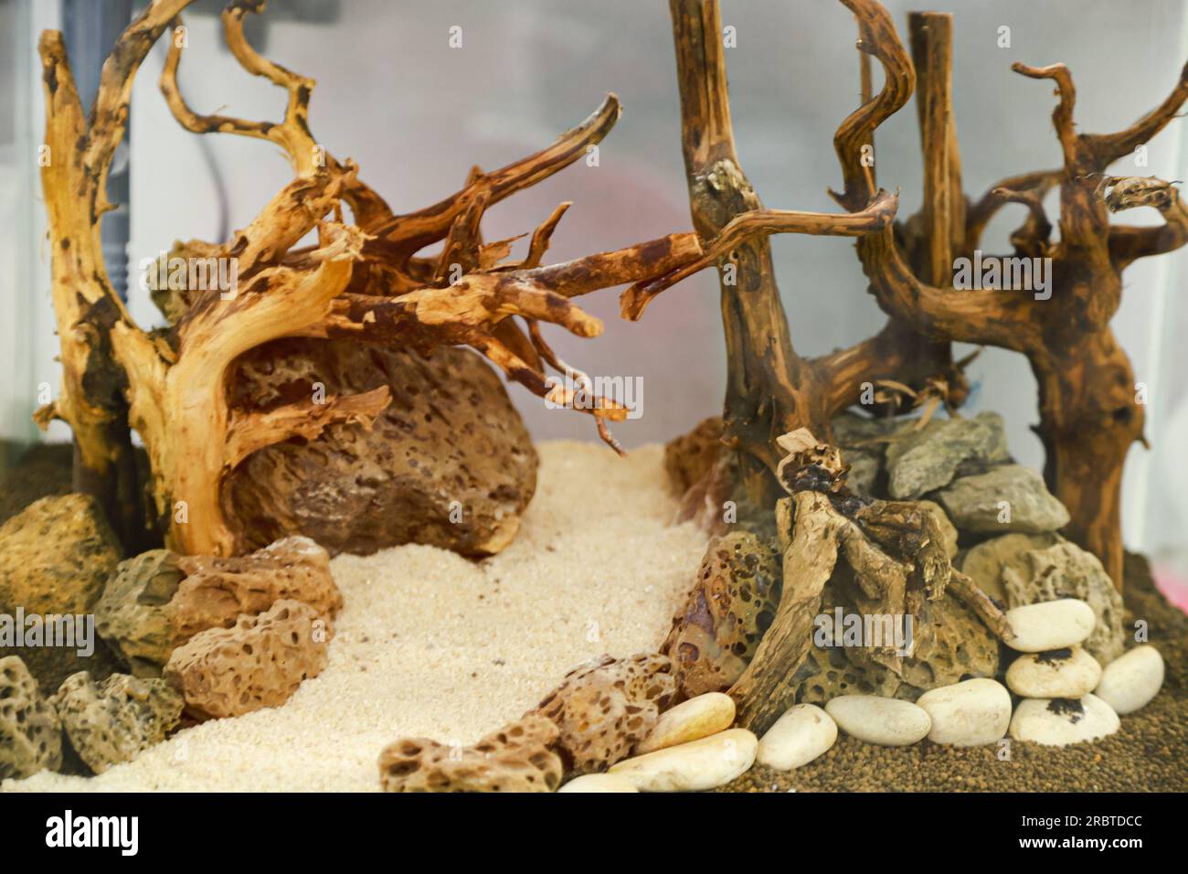 Lava rock aquarium hi-res stock photography and images - Alamy