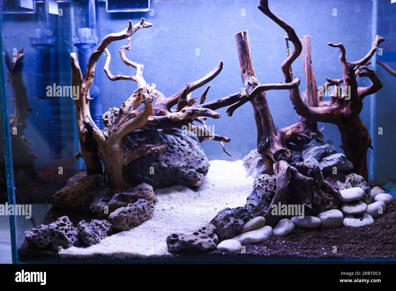 arrangement of rasamala wood and lava stones for an aquascape display ...